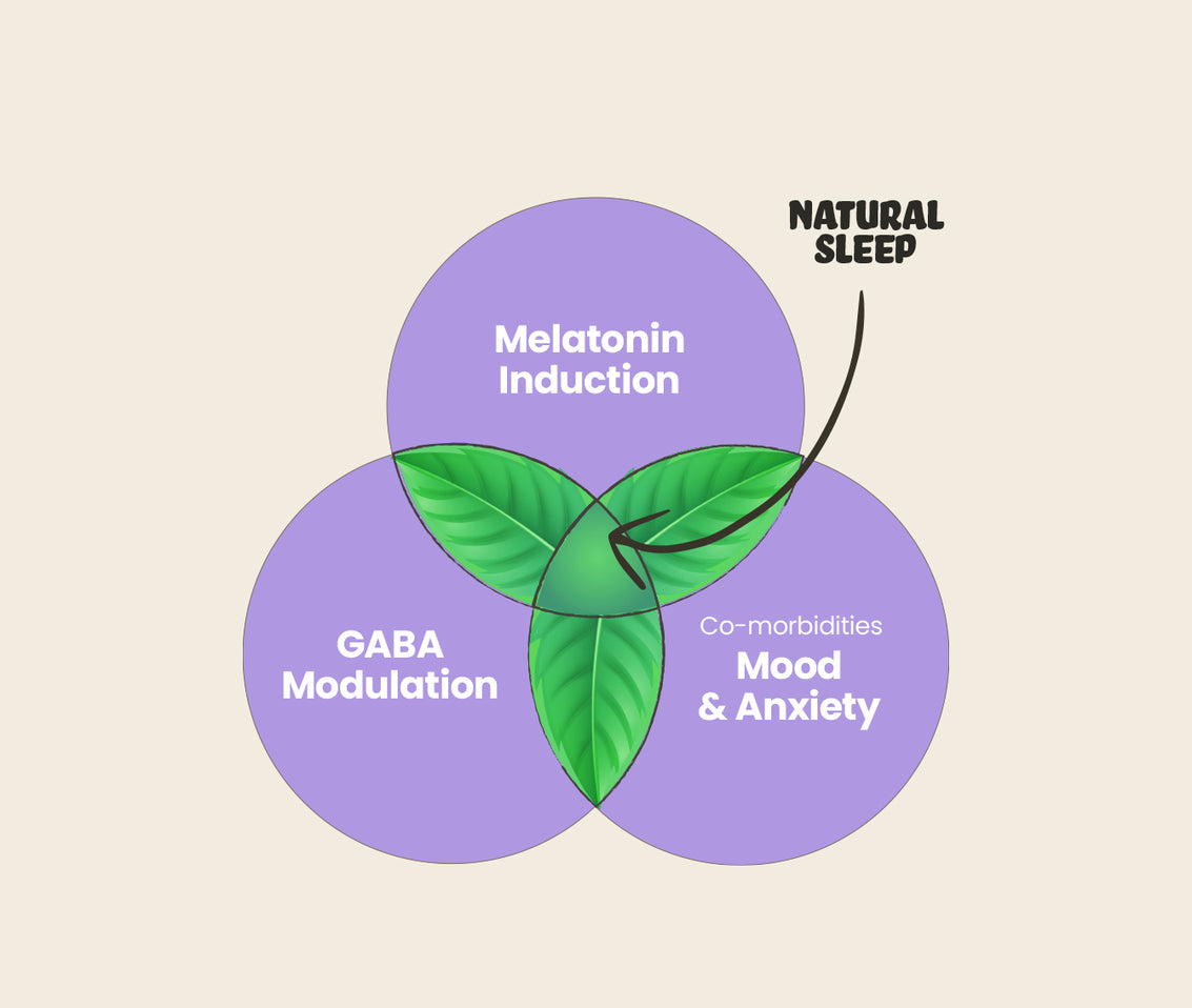 Neubria Drift - Natural Deep Sleep Supplements | Neubria