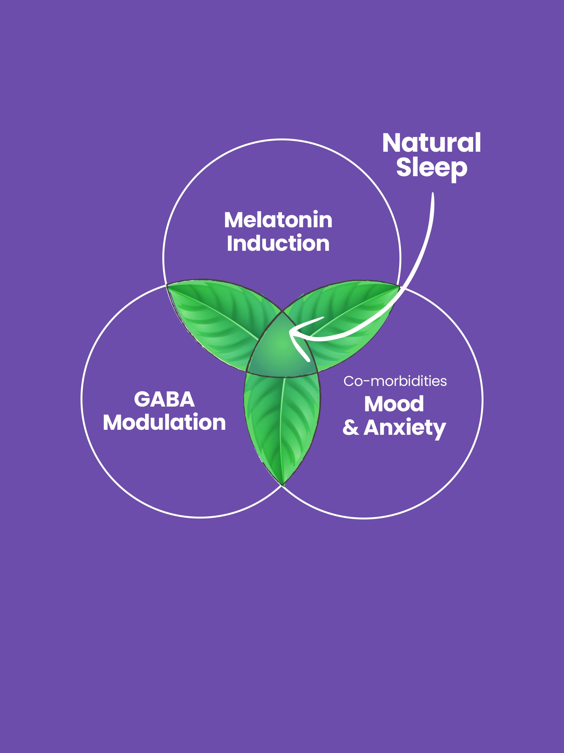 Synology Drift – Neubria