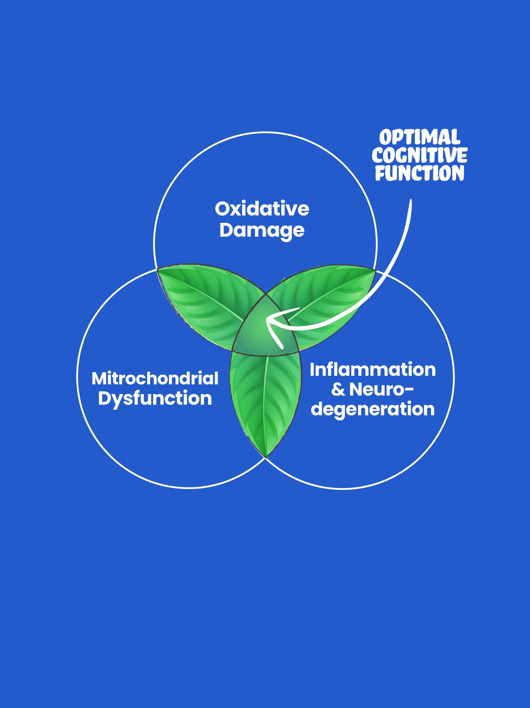 Synology Spark – Neubria